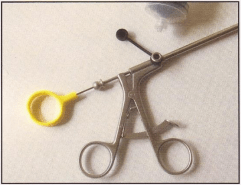 cholangiogram-forceps-history-fig-1 – Endovision